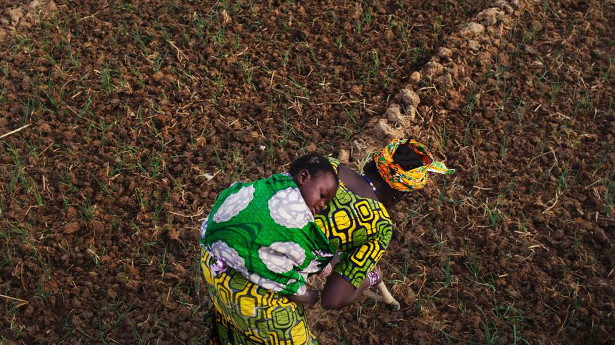 Mali: Shrouded in secrecy, one of Africa’s biggest land deals stalls ...