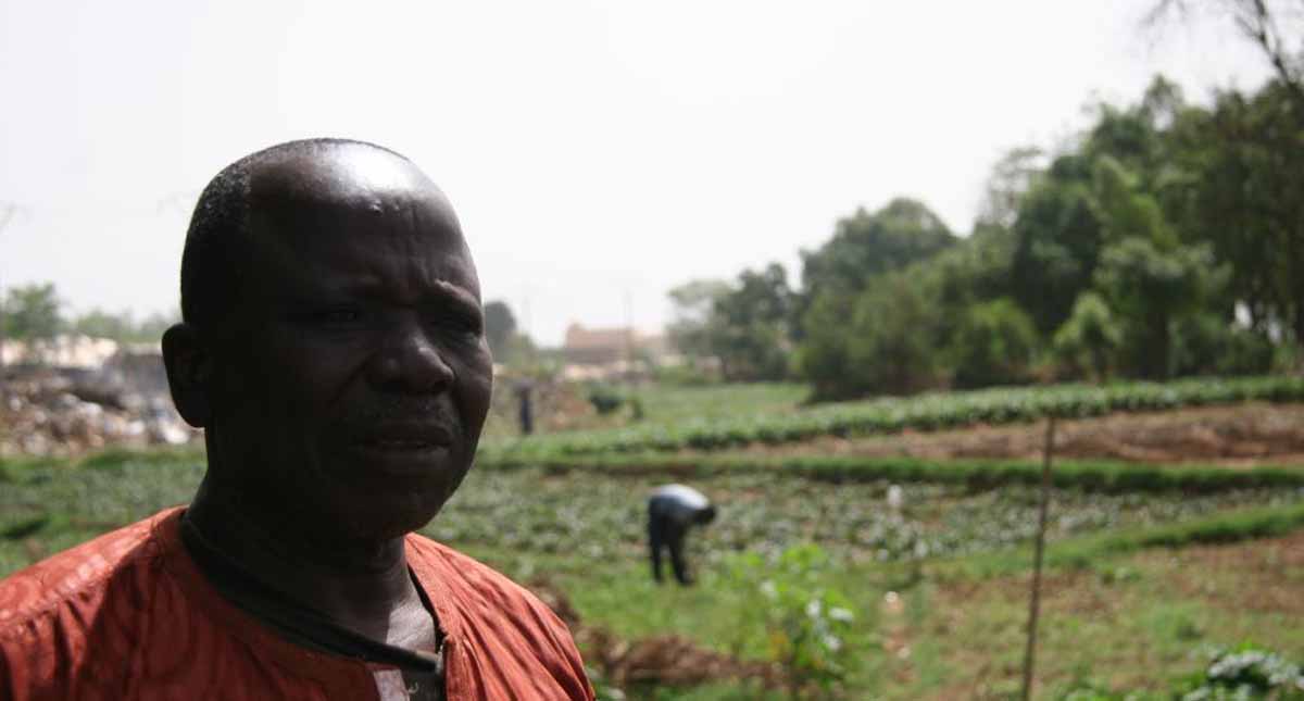 Mali: Urban farmers squat land to ensure their food security : Barza Wire