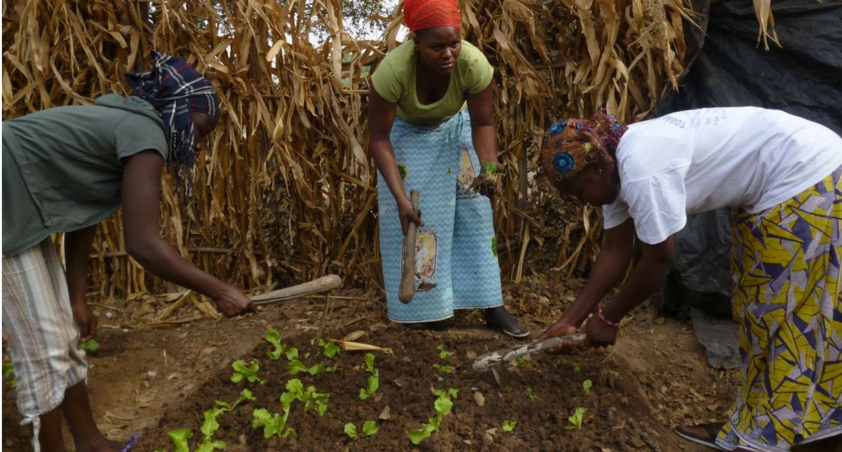Mali: New law gives glimmer of hope for women’s land rights (Trust ...