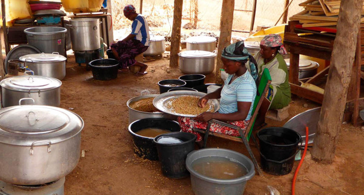 Niger: Fighting food insecurity with indigenous plants (Spore Magazine ...
