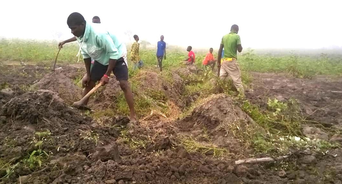 Togo: Farmers rotate crops for a better harvest : Barza Wire