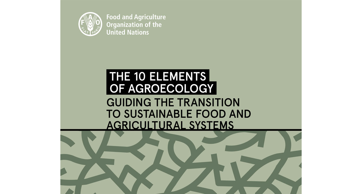 The 10 Elements of Agroecology: Guiding the Transition to Sustainable ...