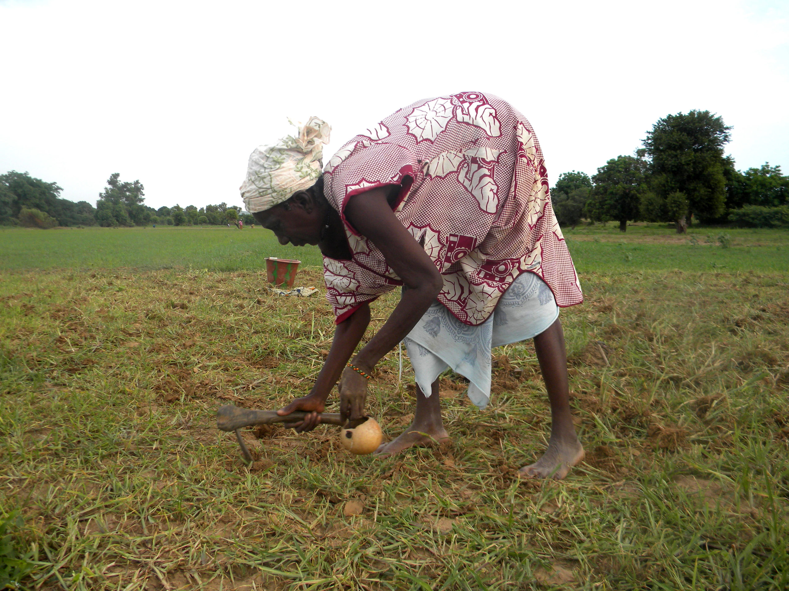Mali: Women try to change traditions that block their access to land ...