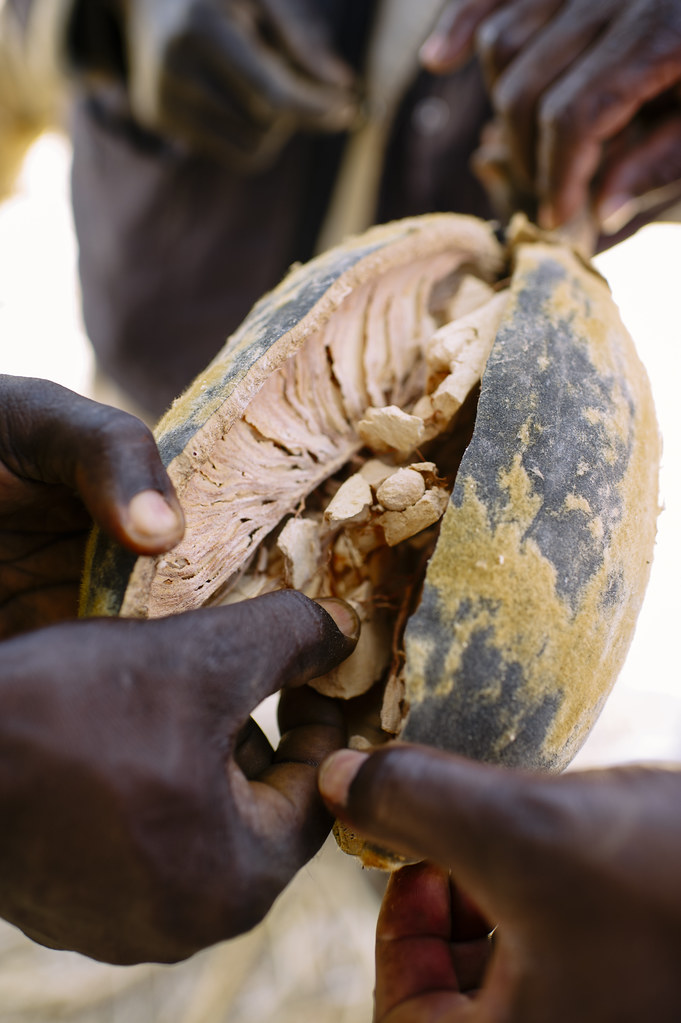 Moçambique: A grande demanda de malambe ajuda comerciantes a ter mais ...
