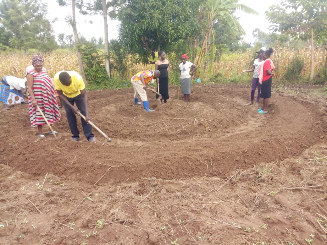 Kenya: Farmers use local materials to manage pests and diseases : Barza ...