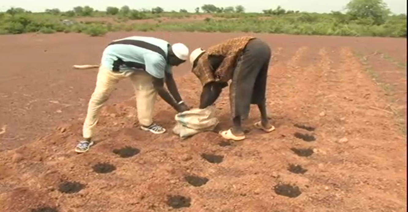 Burkina Faso : Des agriculteurs adoptent la technique du zaï pour ...