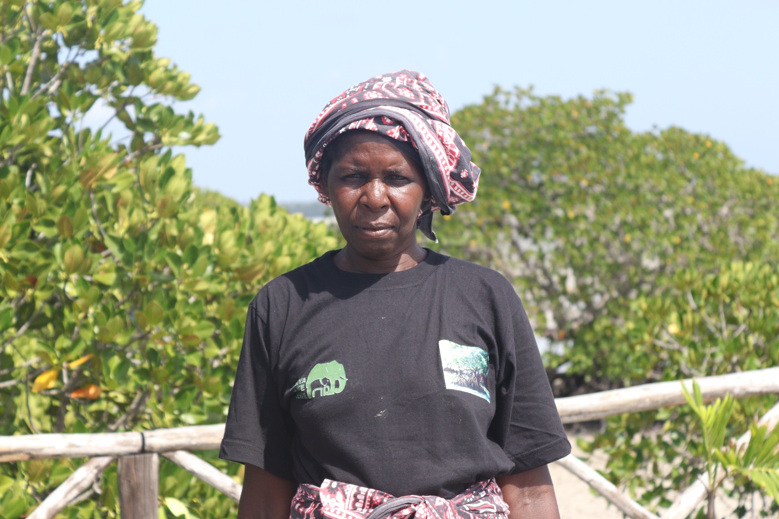 Kenya: Restoring Marereni’s mangroves (Mongabay) : Barza Wire